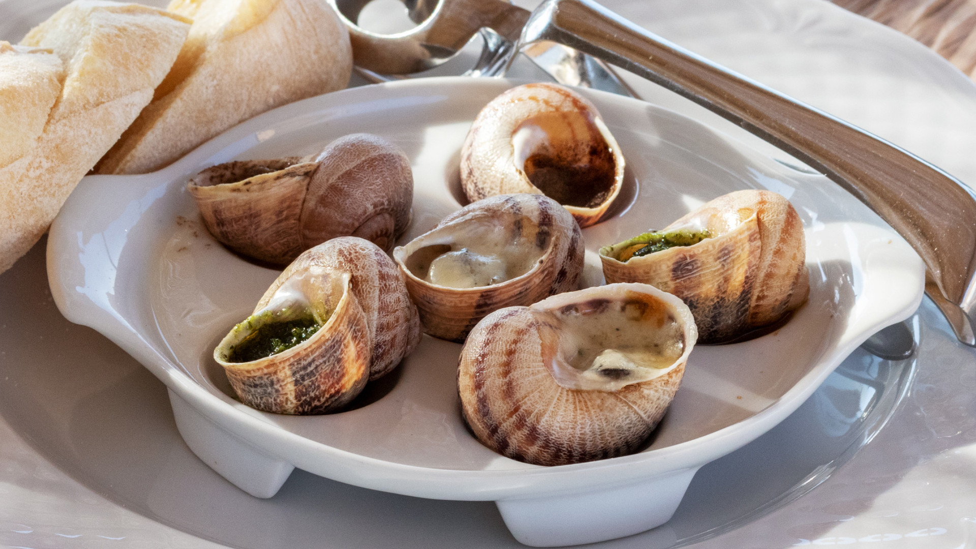 Cuisson des escargots : les secrets d’un met tendre, savoureux et bien ...